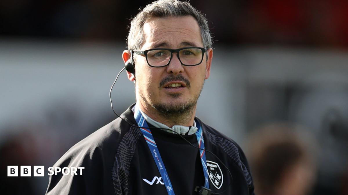 Dragons will regularly train with other teams, says head coach Dai ...