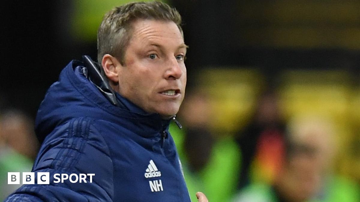 Cardiff City need holistic approach, not just to blame Neil Harris ...