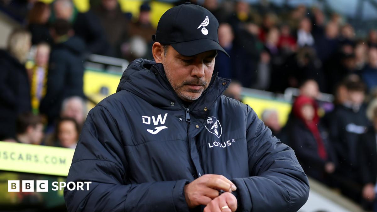 Norwich City: Can David Wagner turn results around before the axe falls ...