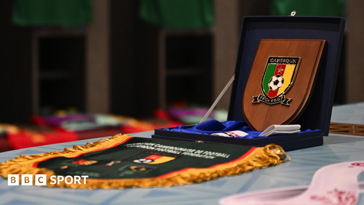 Romain Molina: Investigative journalist to sue Cameroon federation ...