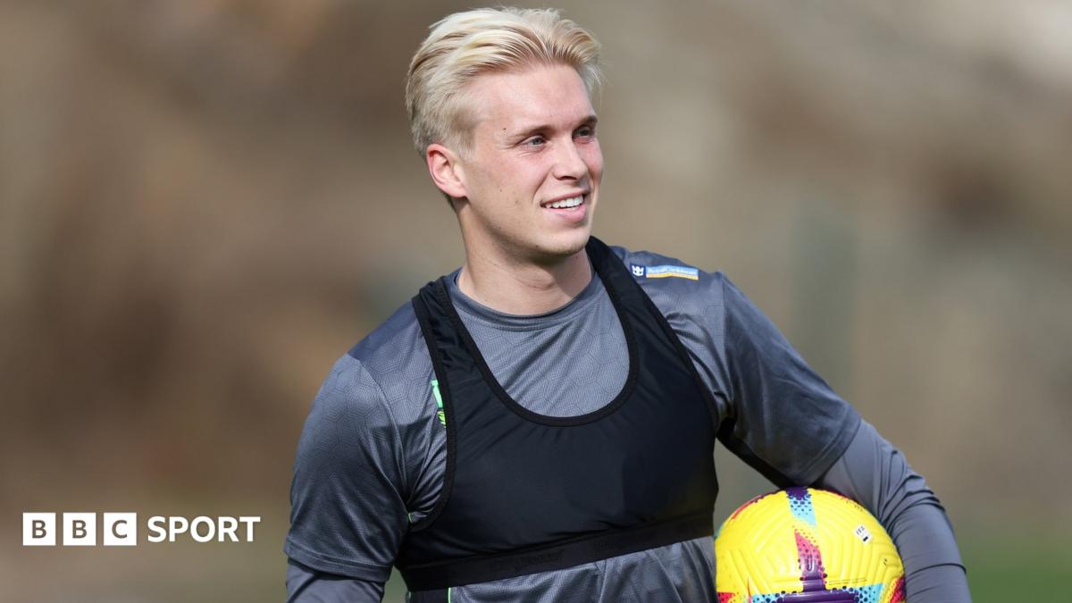Andreas Sondergaard: Swansea City sign ex-Wolves keeper - BBC Sport