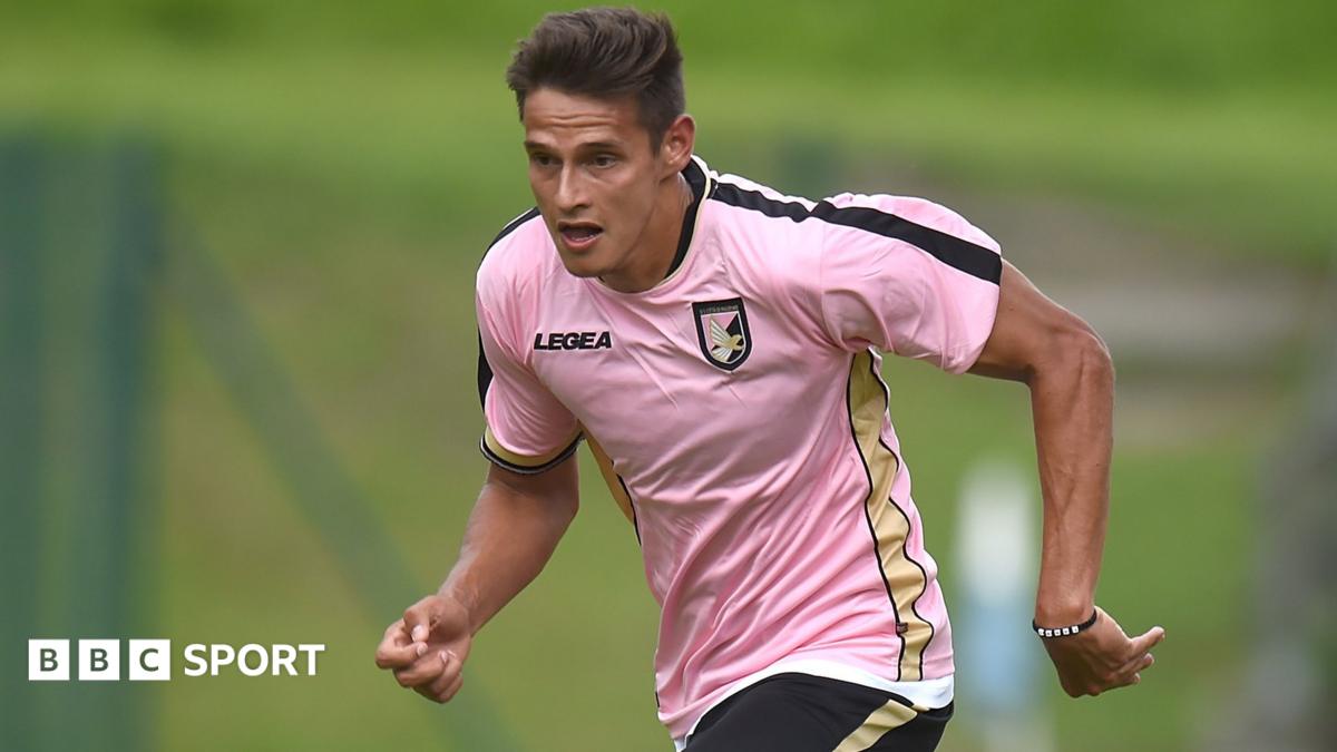 Norbert Balogh: Hull City sign Hungary international on free-agent deal ...