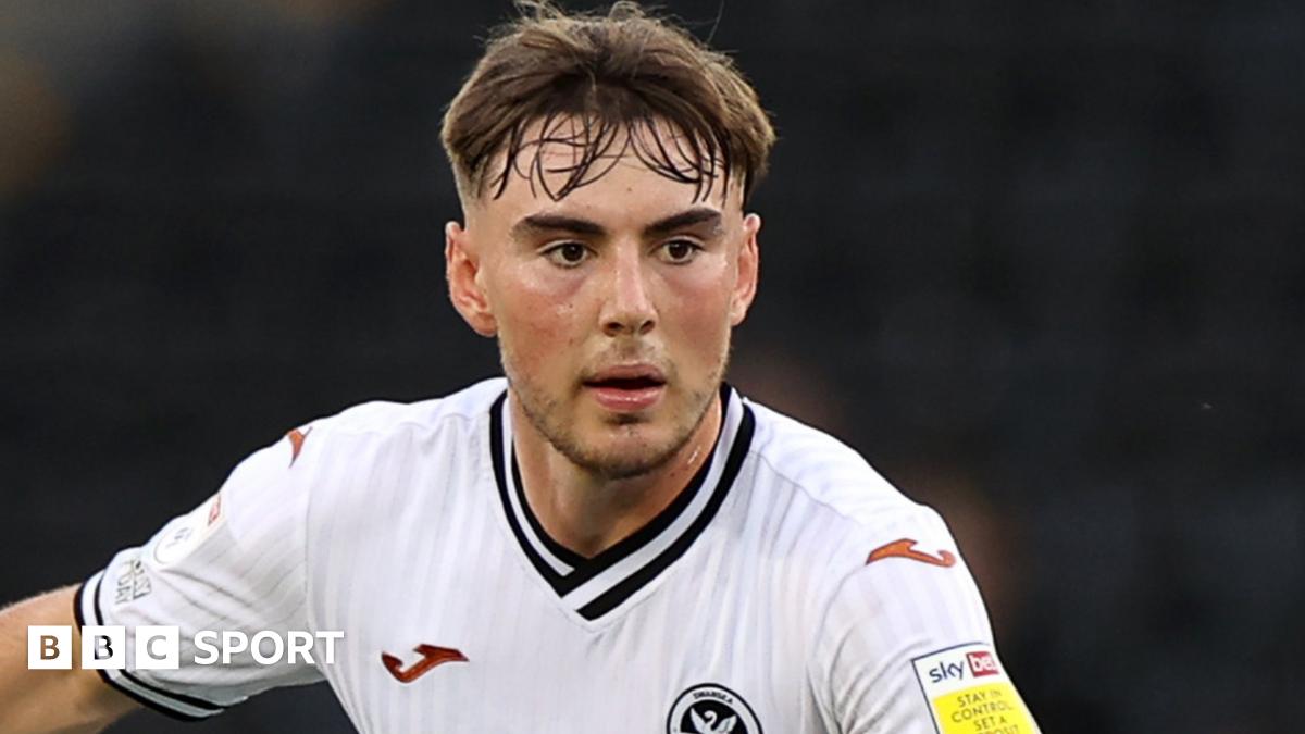 Swansea City: New Saints sign Dan Williams on loan and bring in Wilson ...