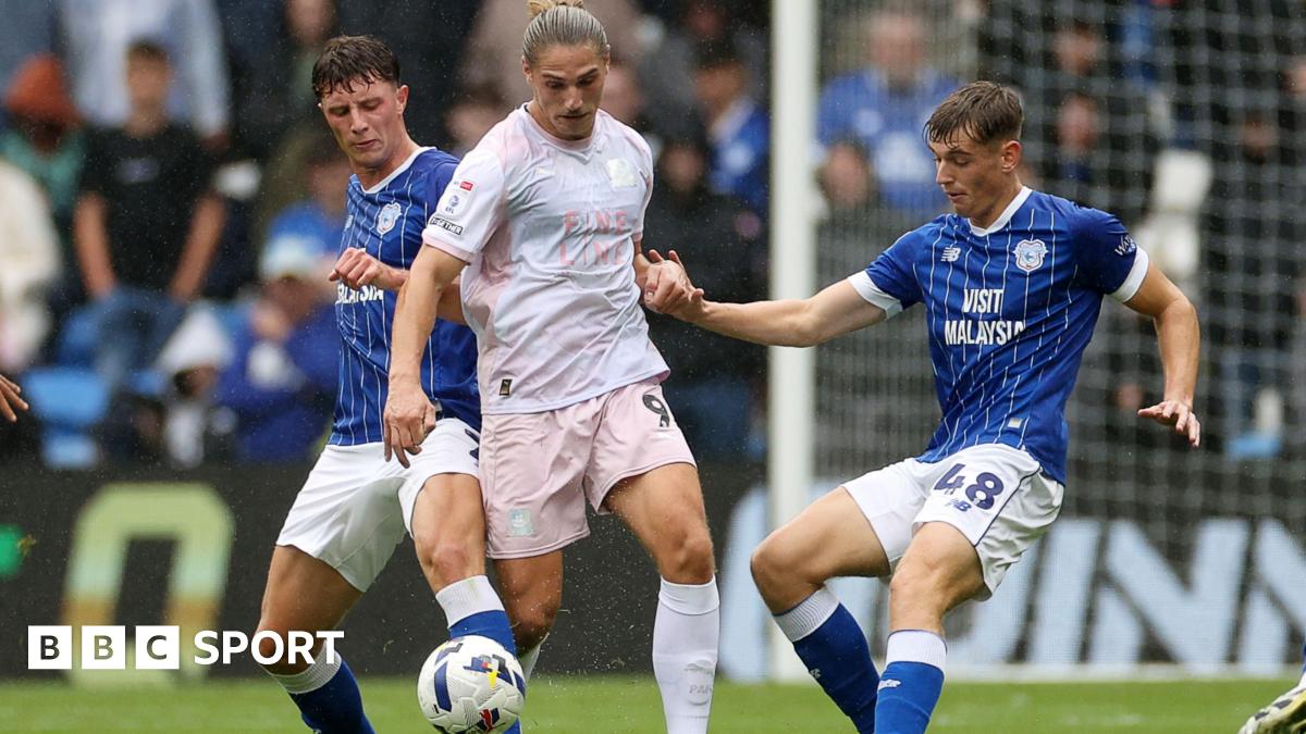 Will Fish backs Dylan Lawlor to reach the top as Cardiff City eye ...