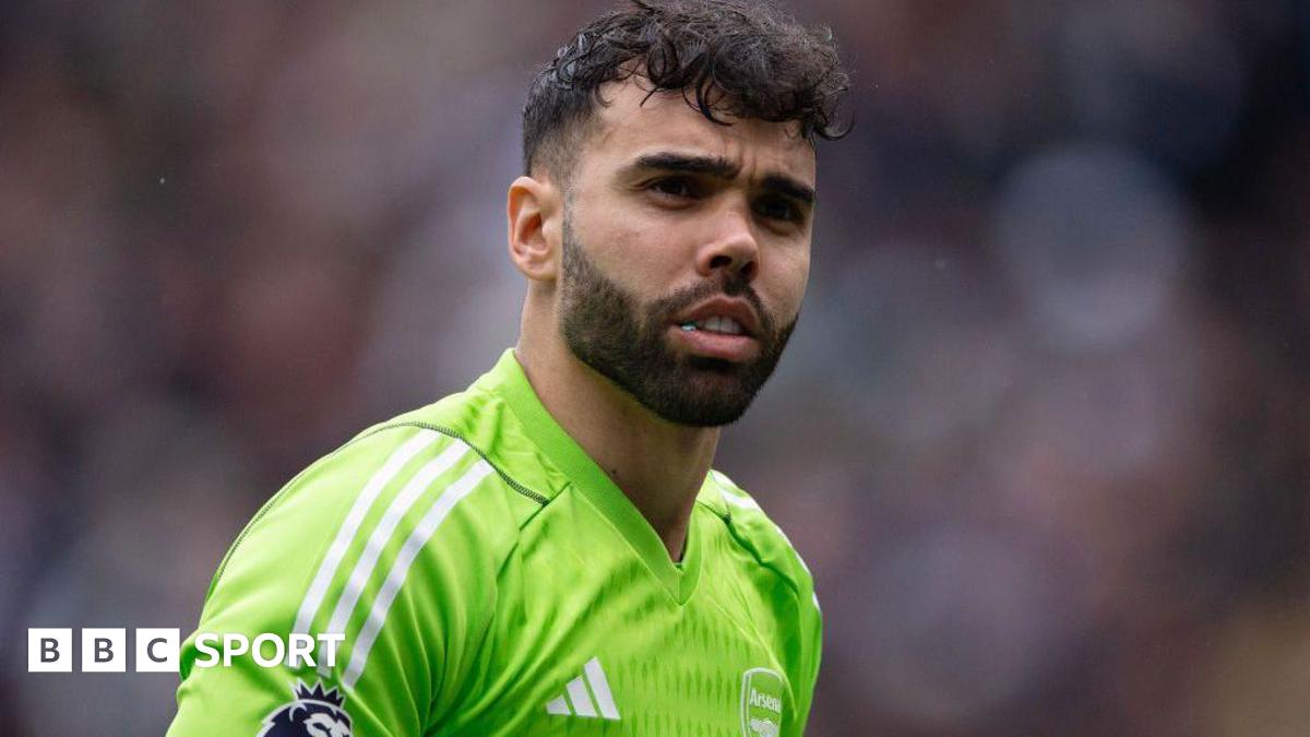 Premier League Golden Glove: Arsenal keeper David Raya wins award - BBC ...