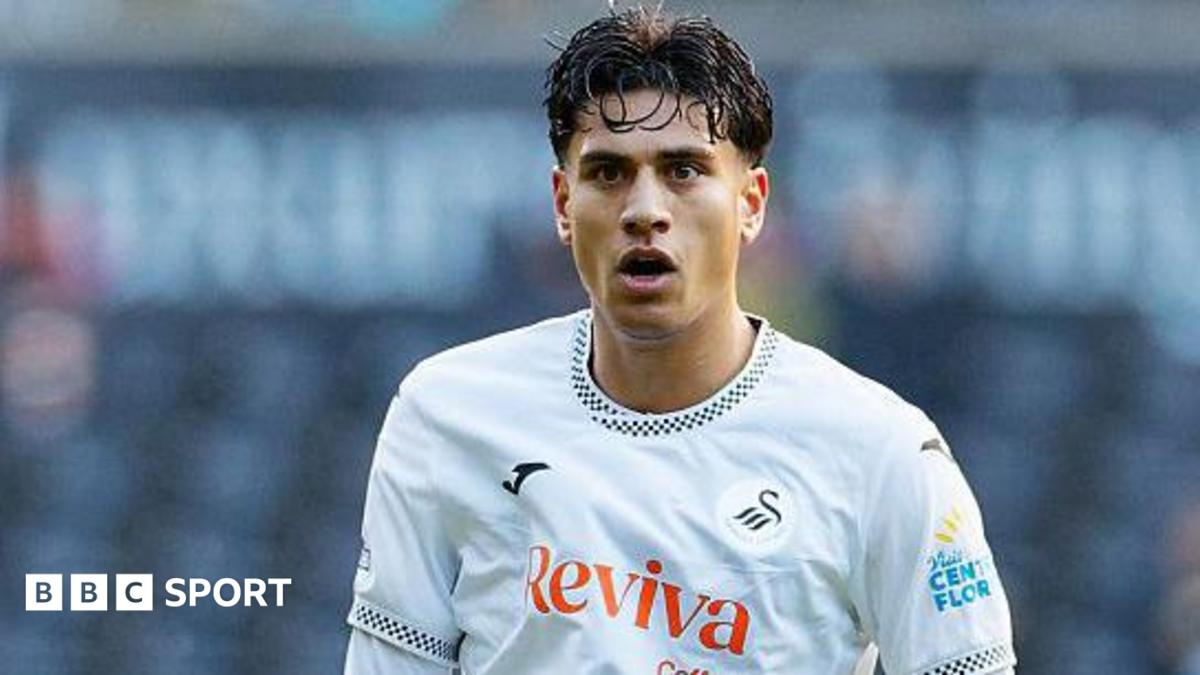 Swansea City news: Marko Stamenic pays tribute to late father - BBC Sport