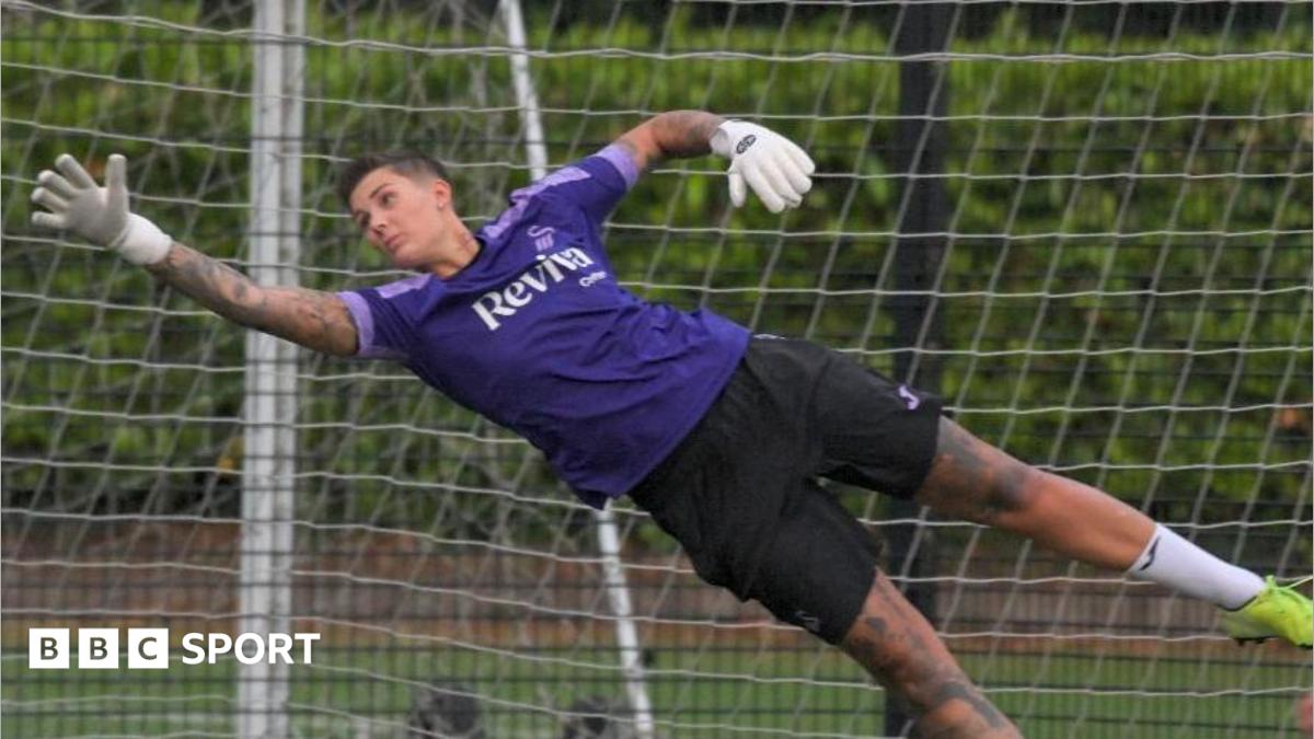 Swansea City Women sign goalkeeper Charlie Haynes - BBC Sport