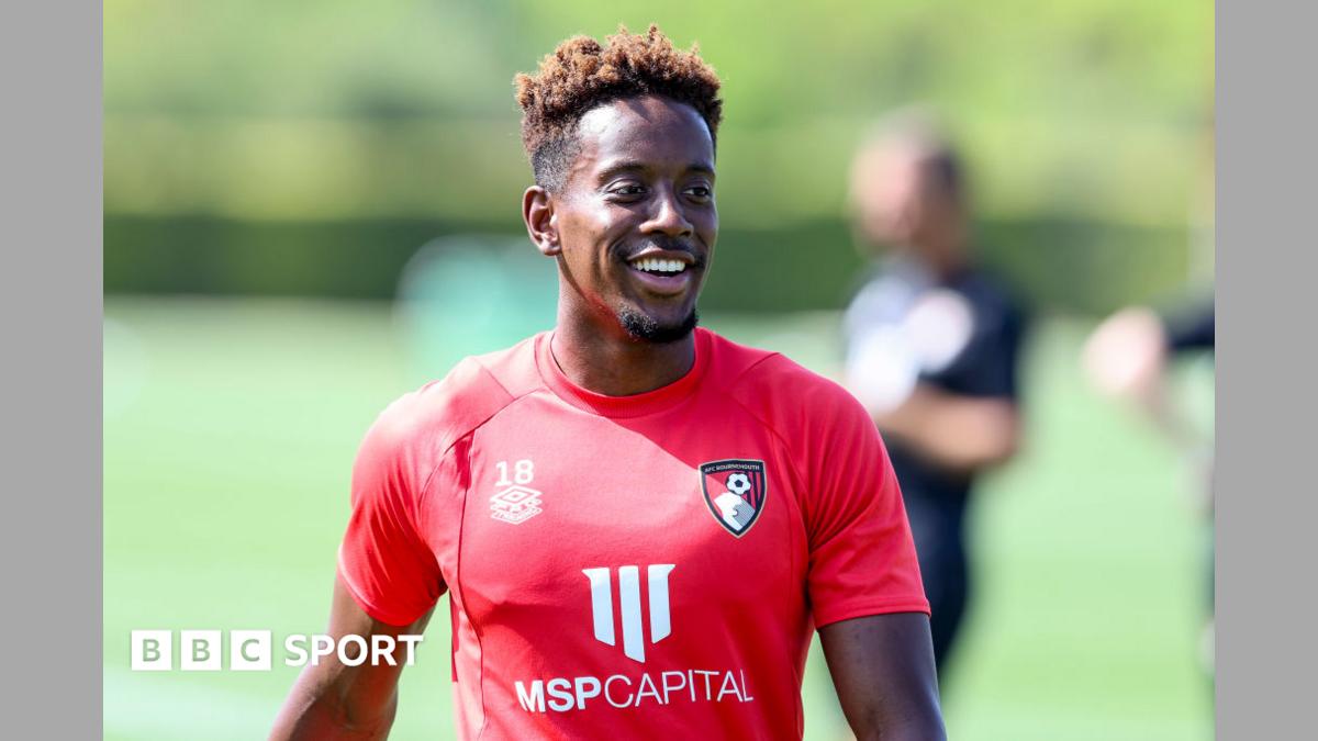 Bournemouth striker Jamal Lowe joins Swansea on loan - BBC Sport