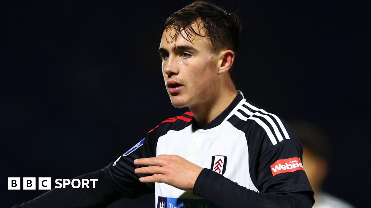 Luke Harris: Exeter City sign Fulham's Wales Under-21 attacker on loan ...