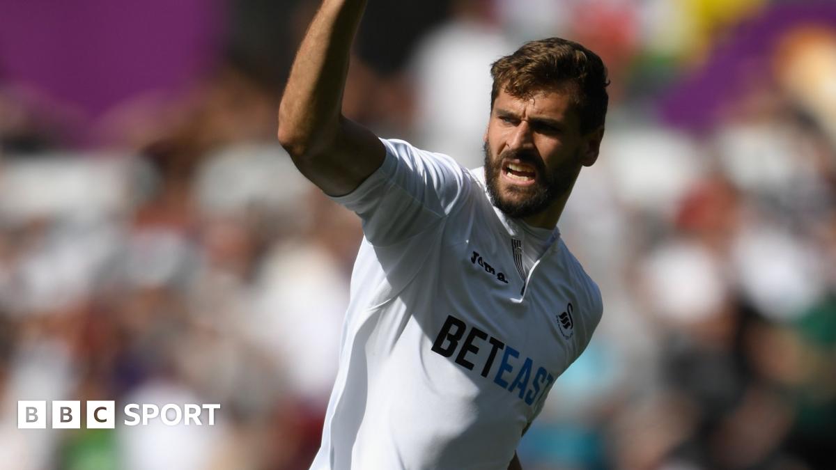 fernando llorente sr