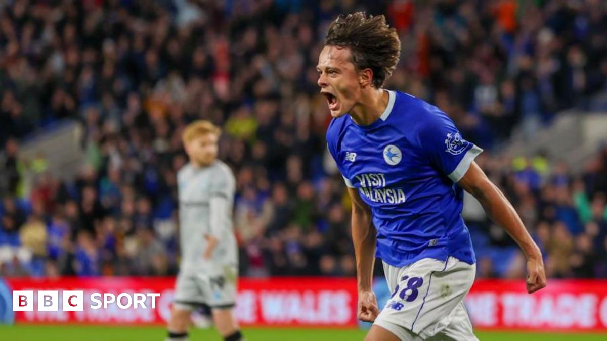 Cardiff City: Millwall win 'could turn season around' - Danny Gabbidon ...