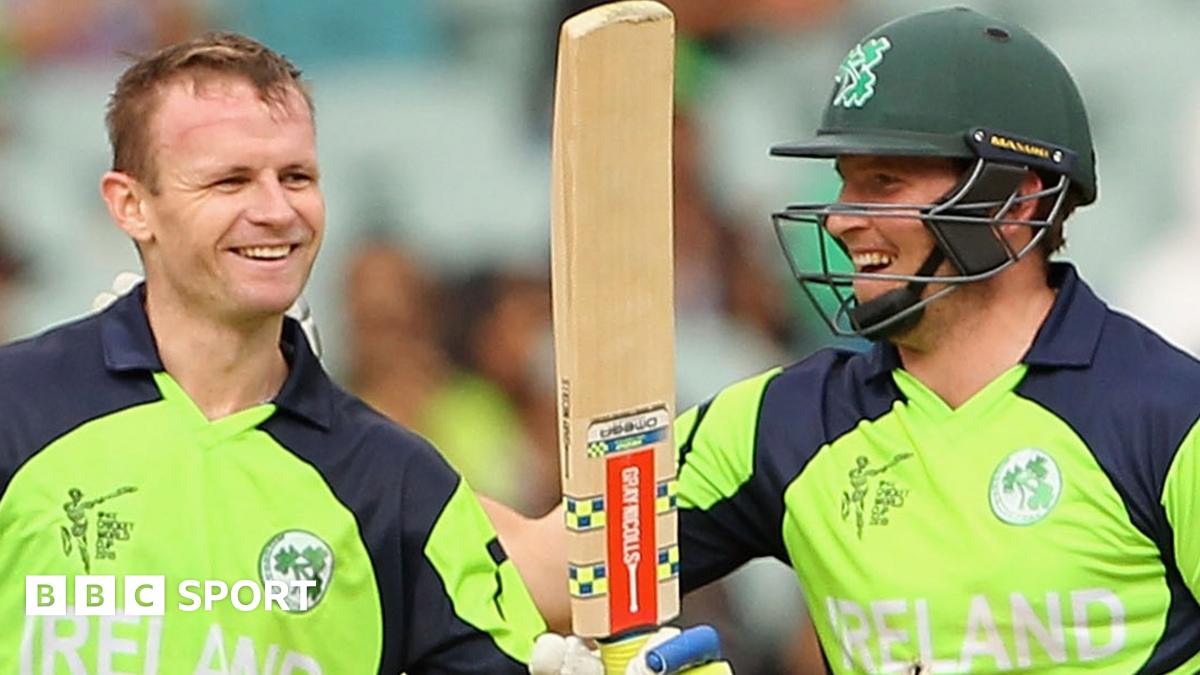 Porterfield and Wilson handed coaching consultancy roles with Ireland ...