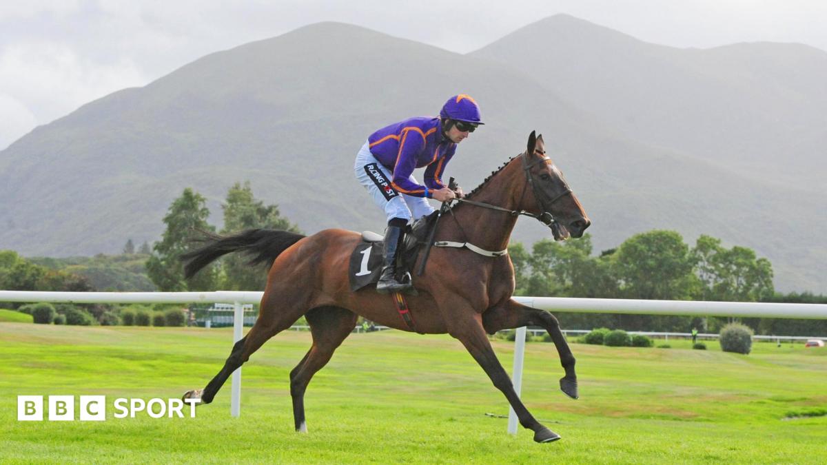 Wicklow Brave dies after American Grand National fall at Far Hills ...