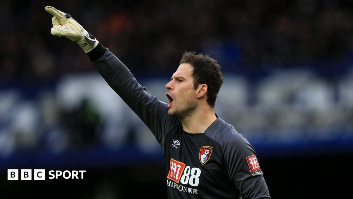 Asmir Begovic: Bournemouth goalkeeper joins AC Milan on loan - BBC Sport