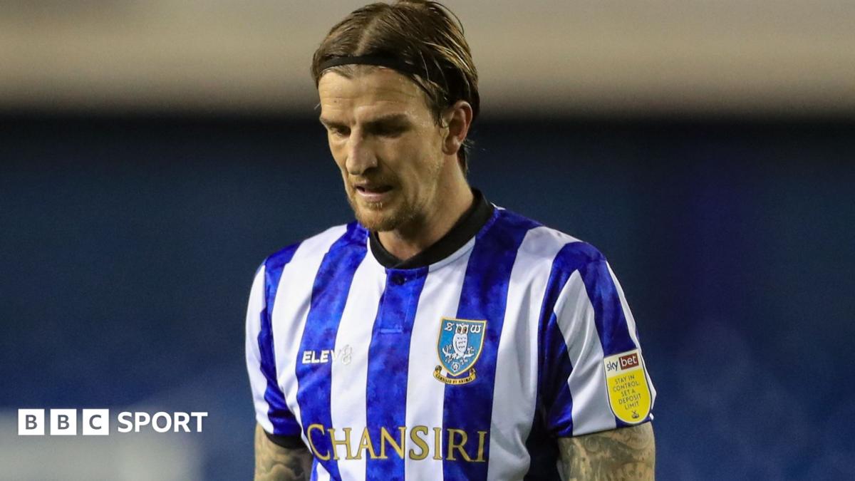 Aden Flint: Defender returns to Cardiff as Sheffield Wednesday loan is ...
