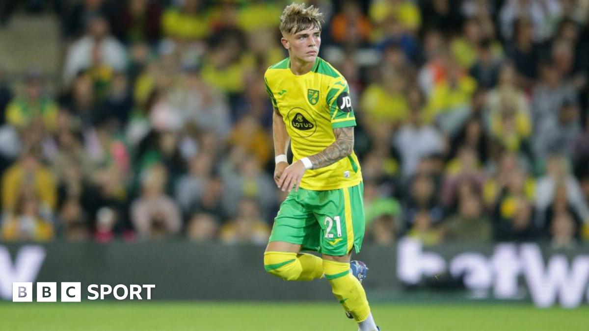 Norwich's summer ins and outs - BBC Sport