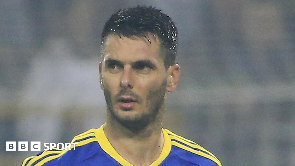 Ex-Bosnia captain Emir Spahic 'in serious condition after car crash ...