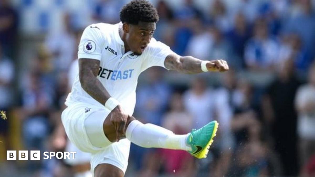 Leroy Fer: Swansea City midfielder aims to make an impact - BBC Sport