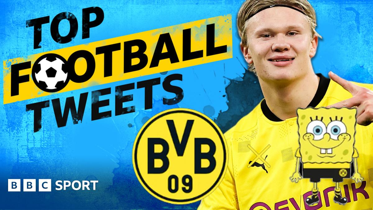 spongebob wolverhampton