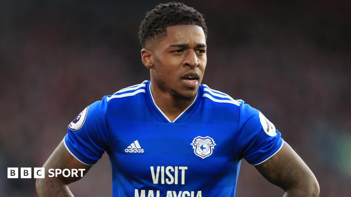 Cardiff City: Harris to leave alongside O'Keefe and Gunnarsson - BBC Sport