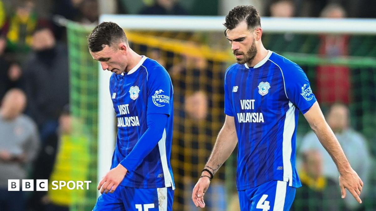 Cardiff City: Your views after defeat at Norwich - BBC Sport
