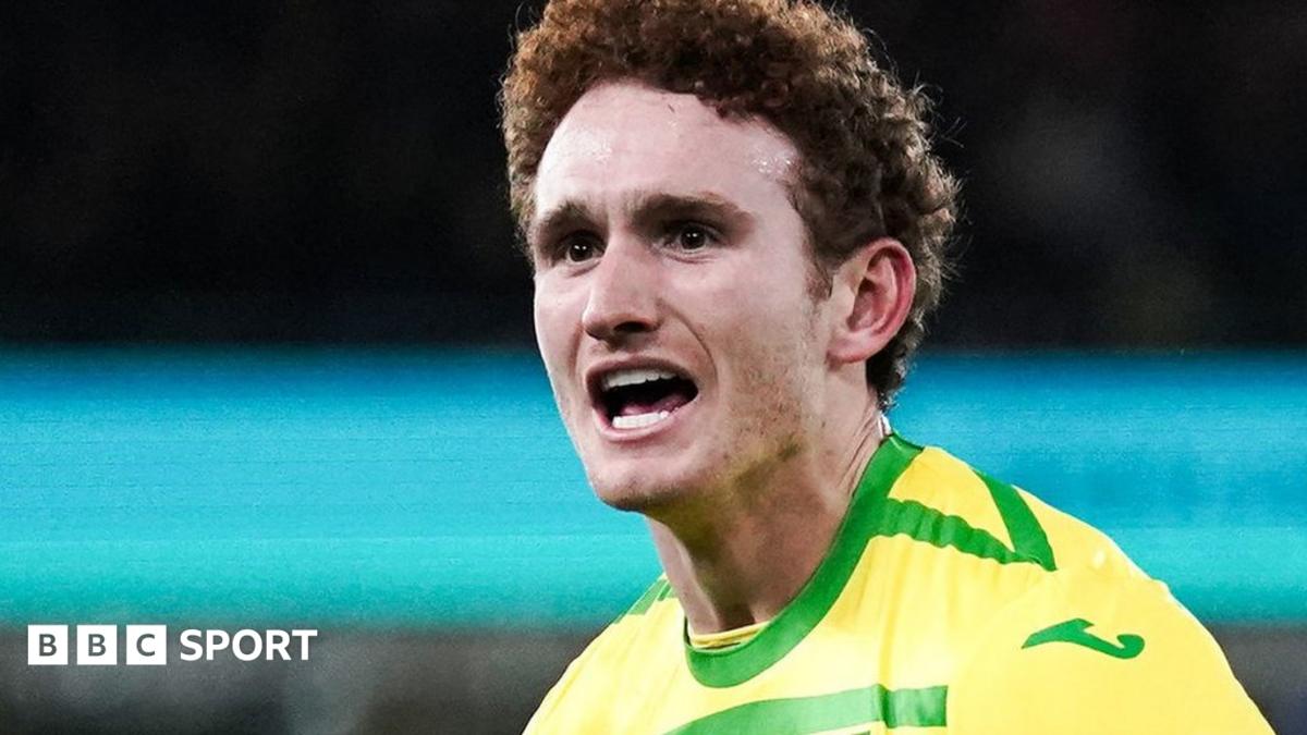Josh Sargent: Norwich striker happy to be back following injury - BBC Sport