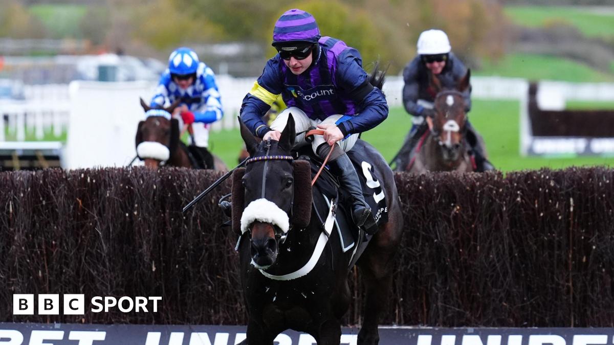 Three horses die during racing at Cheltenham - BBC Sport