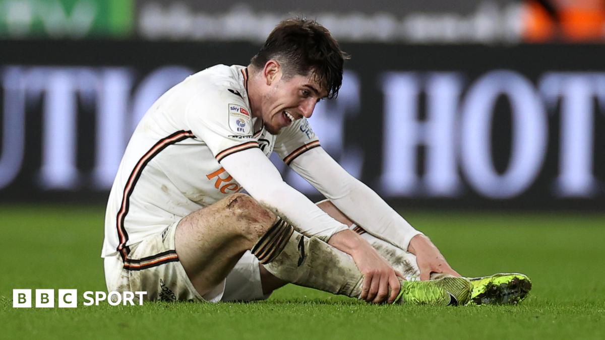 Swansea City: Luke Williams' determination to raise the bar should be ...