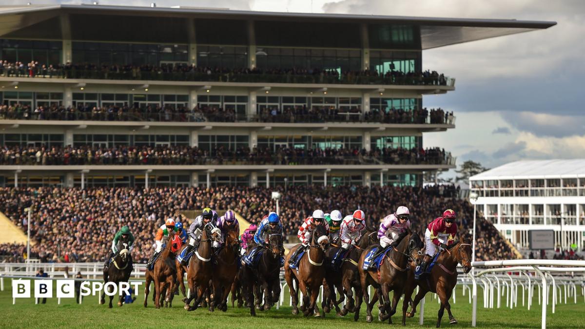 Cheltenham and the Rooneys: Owners defend course over boycott - BBC Sport