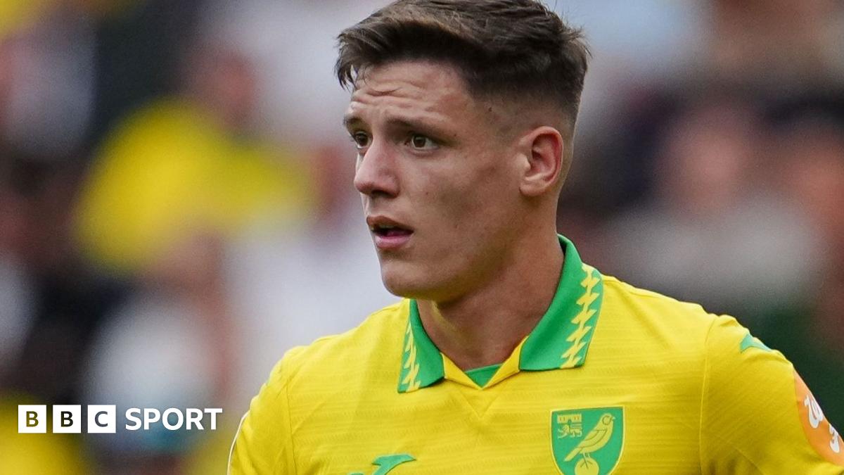 Norwich City: Ante Crnac ready to be 'best version of himself' - BBC Sport