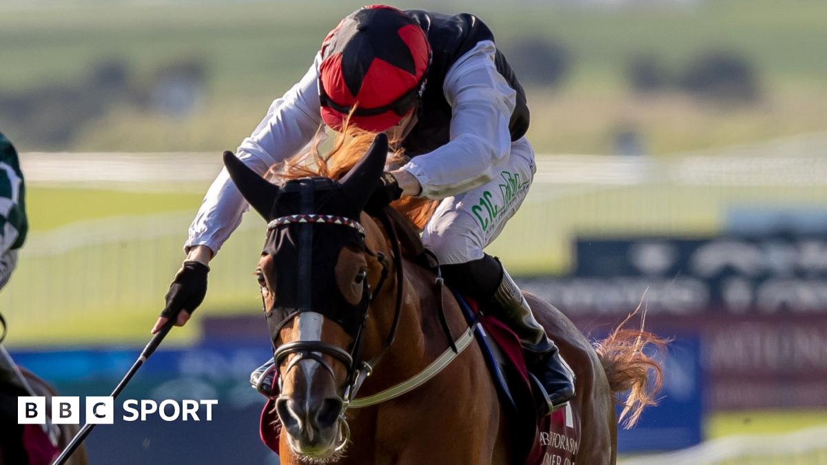 Irish St Leger: Search For A Song earns repeat win in Curragh Classic ...