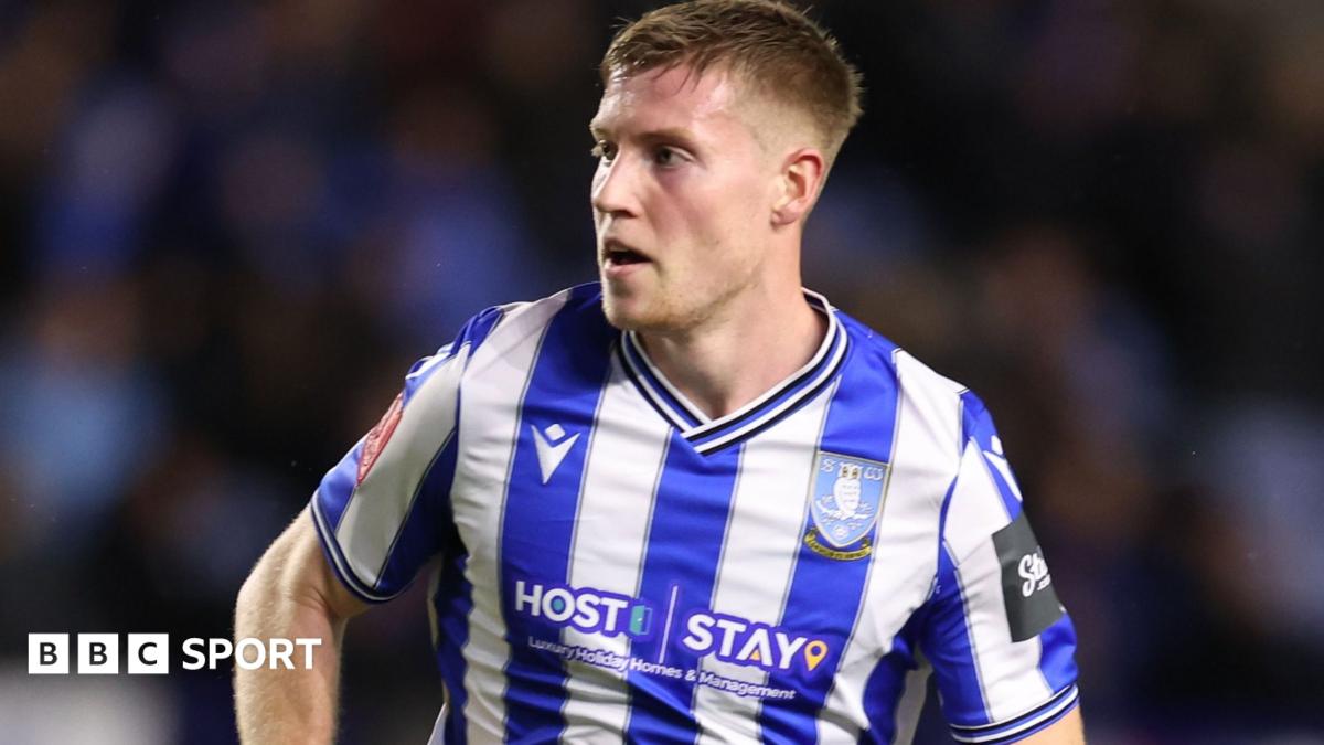 Cardiff City recall defender Mark McGuinness from Owls loan - BBC Sport