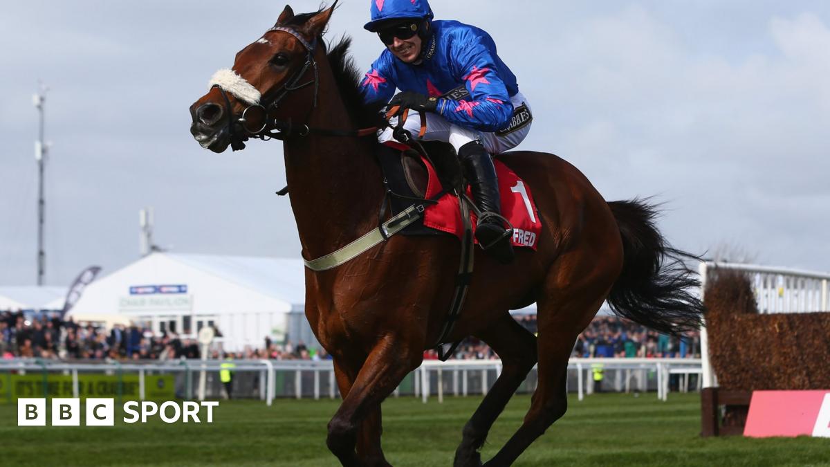 Cue Card: Colin Tizzard-trained horse is retired - BBC Sport