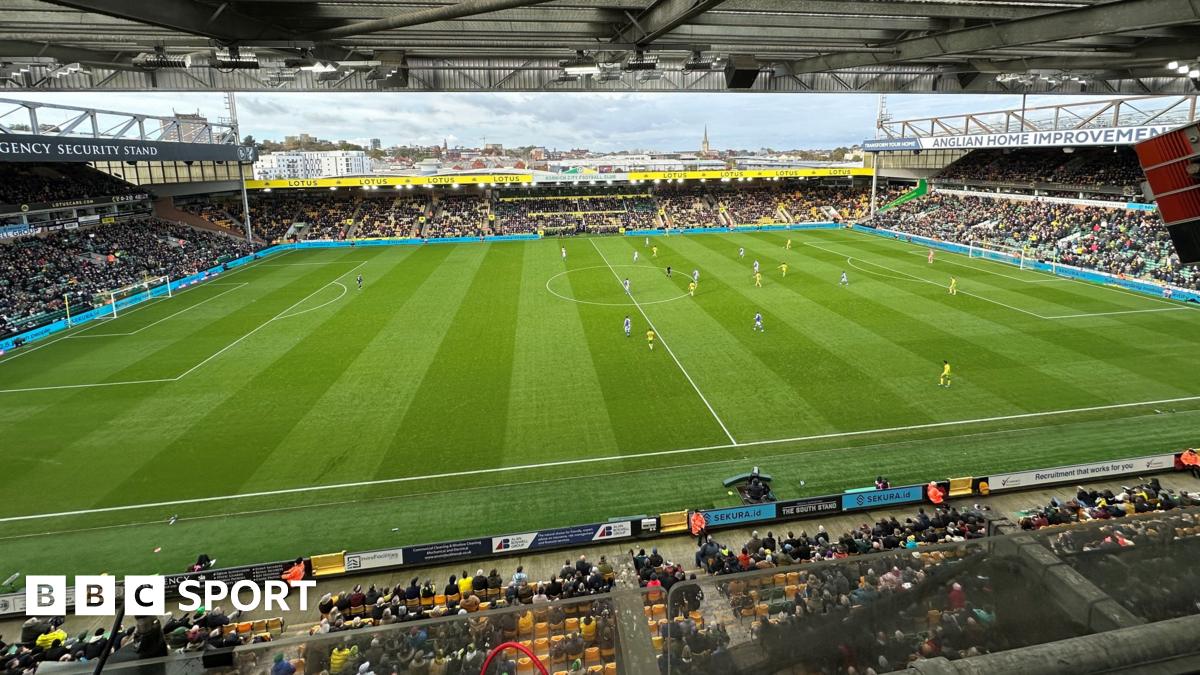 Norwich City quiz: The Goreham Check - BBC Sport