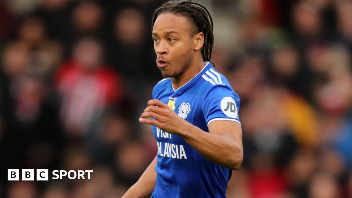 Bobby Reid & Harrison Reed: Fulham sign Cardiff City forward ...