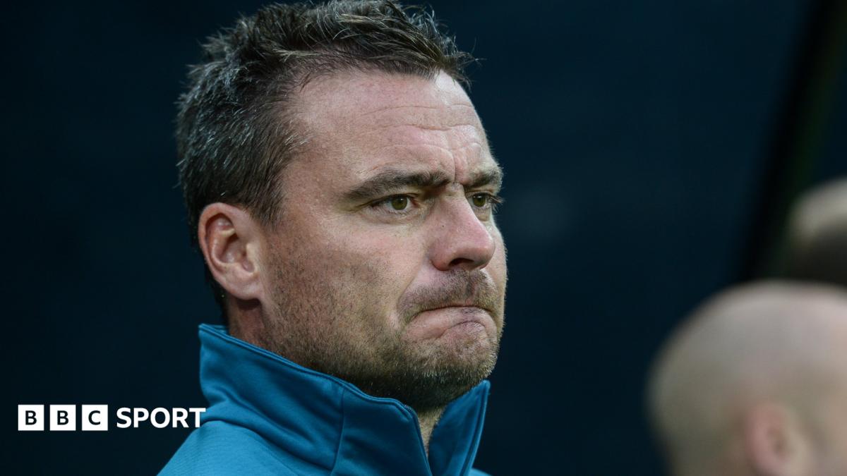 Steve Harper: Former Newcastle man appointed Northern Ireland ...