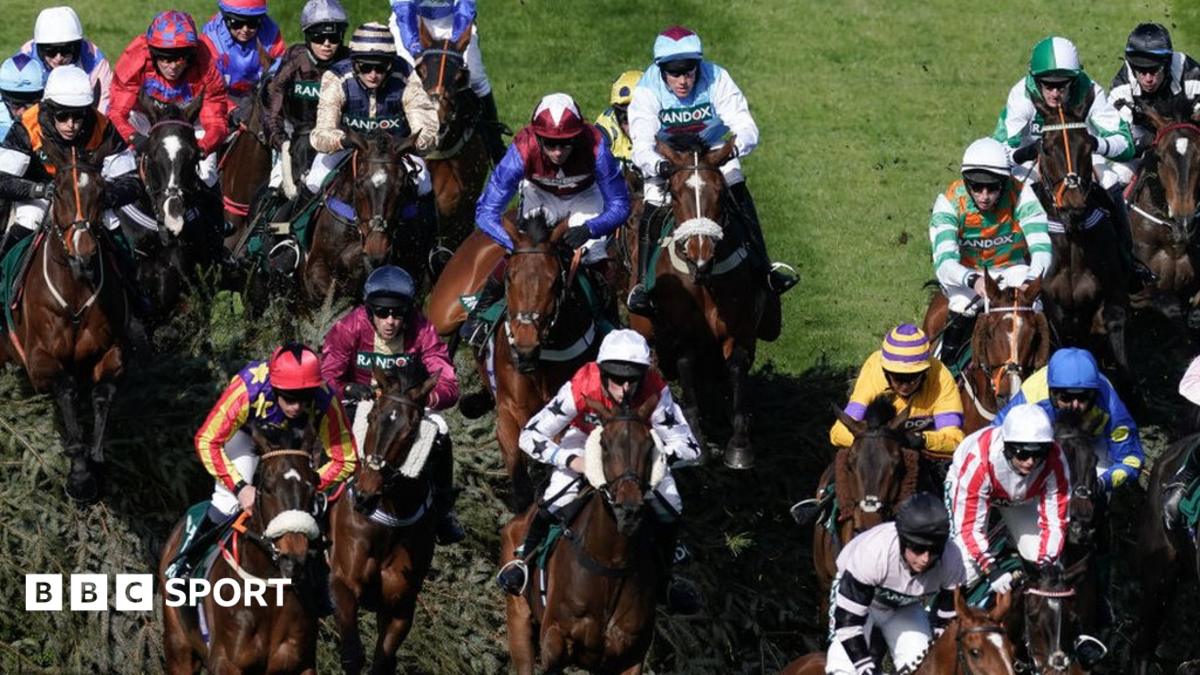 Envoye Special fatally injured at Aintree in Foxhunters' Chase - BBC Sport
