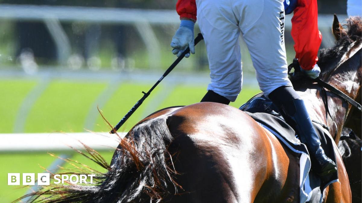 Horseracing whip rules: Twenty bans handed out in first week of changes ...