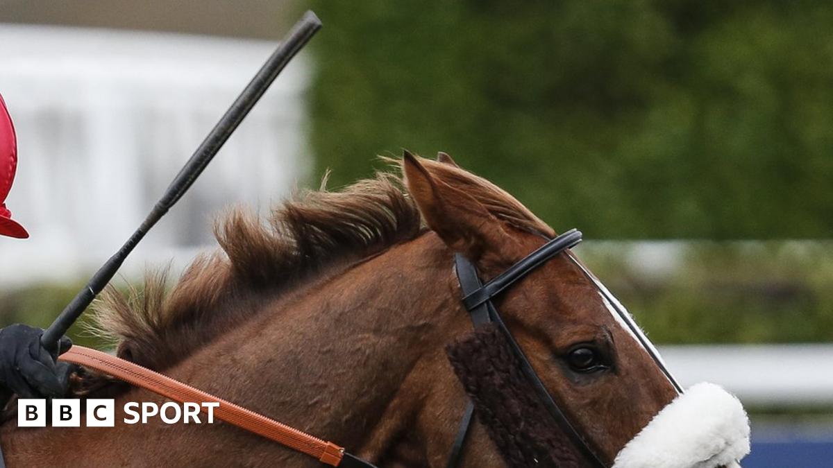 Jockeys could face tougher penalties for breaching whip rules - BBC Sport