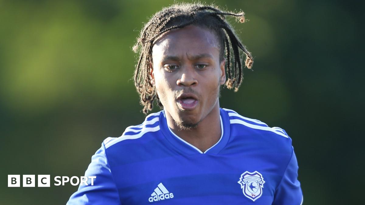 Bobby Reid: New Cardiff City striker inspired by 'crazy' 2017-18 season ...