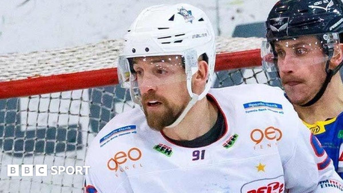 Jamie Arniel: Cardiff Devils sign EC Kassel Huskies forward - BBC Sport