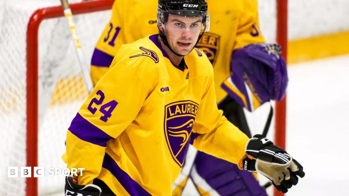 Steven MacLean: Cardiff Devils add defenceman to roster after Cedric ...