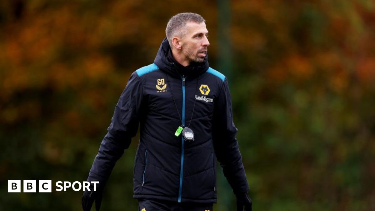 Wolves: Gary O'Neil's transfer targets not 'financially doable' - BBC Sport