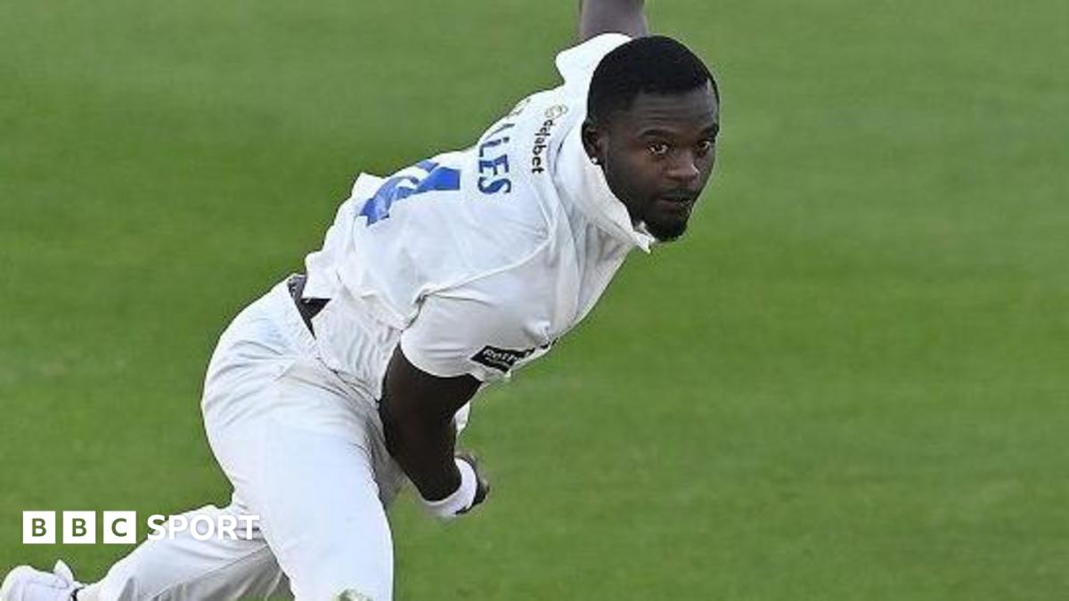 County Championship: Sussex beat Somerset despite Sean Hunt injury ...