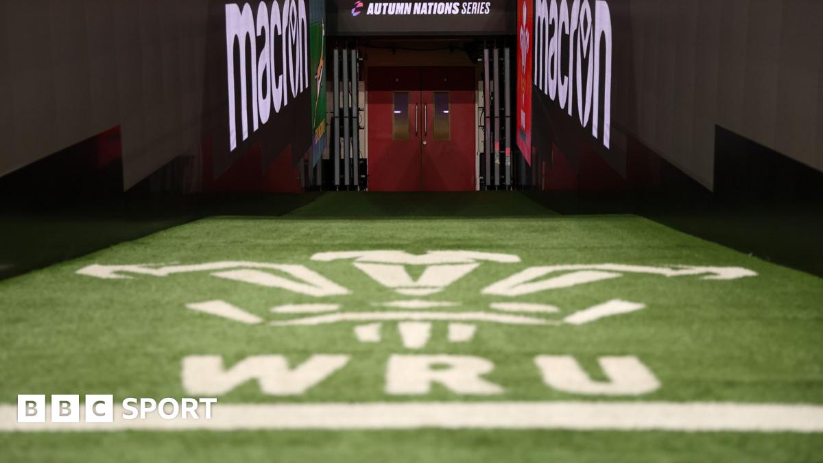 Welsh Rugby Union: Body brands EGM calls as 'irresponsible nuclear ...