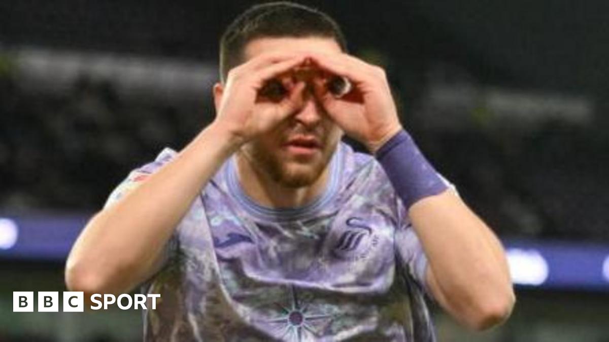 Swansea City: Zan Vipotnik enjoying challenge of wearing number nine ...