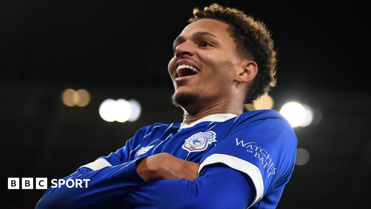 Cardiff City news: Bluebirds to be celebrating by early April - Iwan ...
