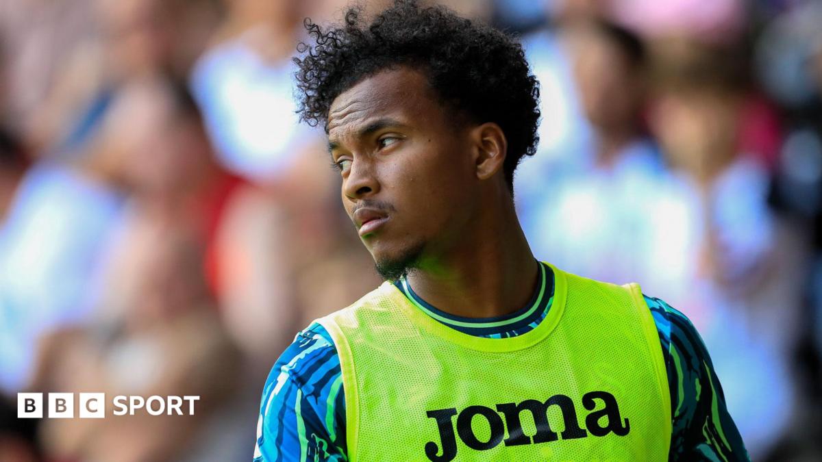 Swansea City: Ruben Providence could still sign, says Luke Williams ...