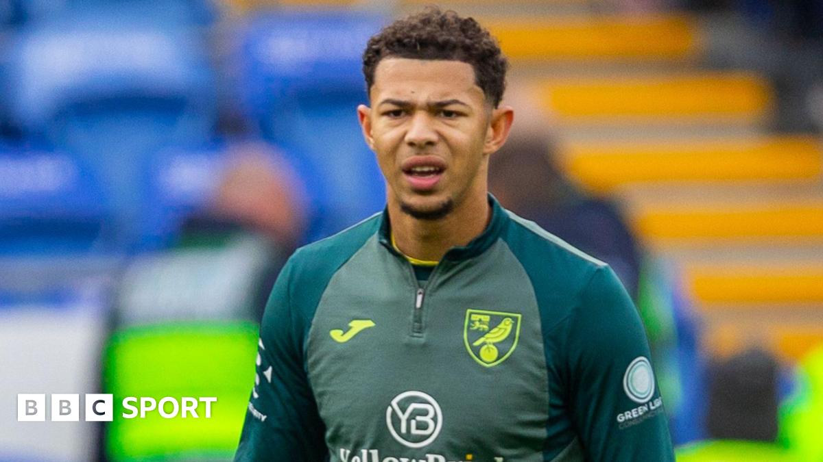 Jaden Warner: Newport County sign Norwich City defender on 18-month ...