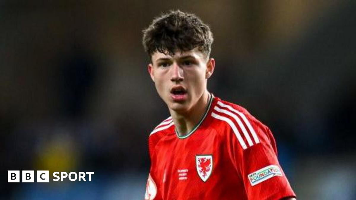 Aston Villa transfer news: Troy Perrett of Cardiff monitored - BBC Sport